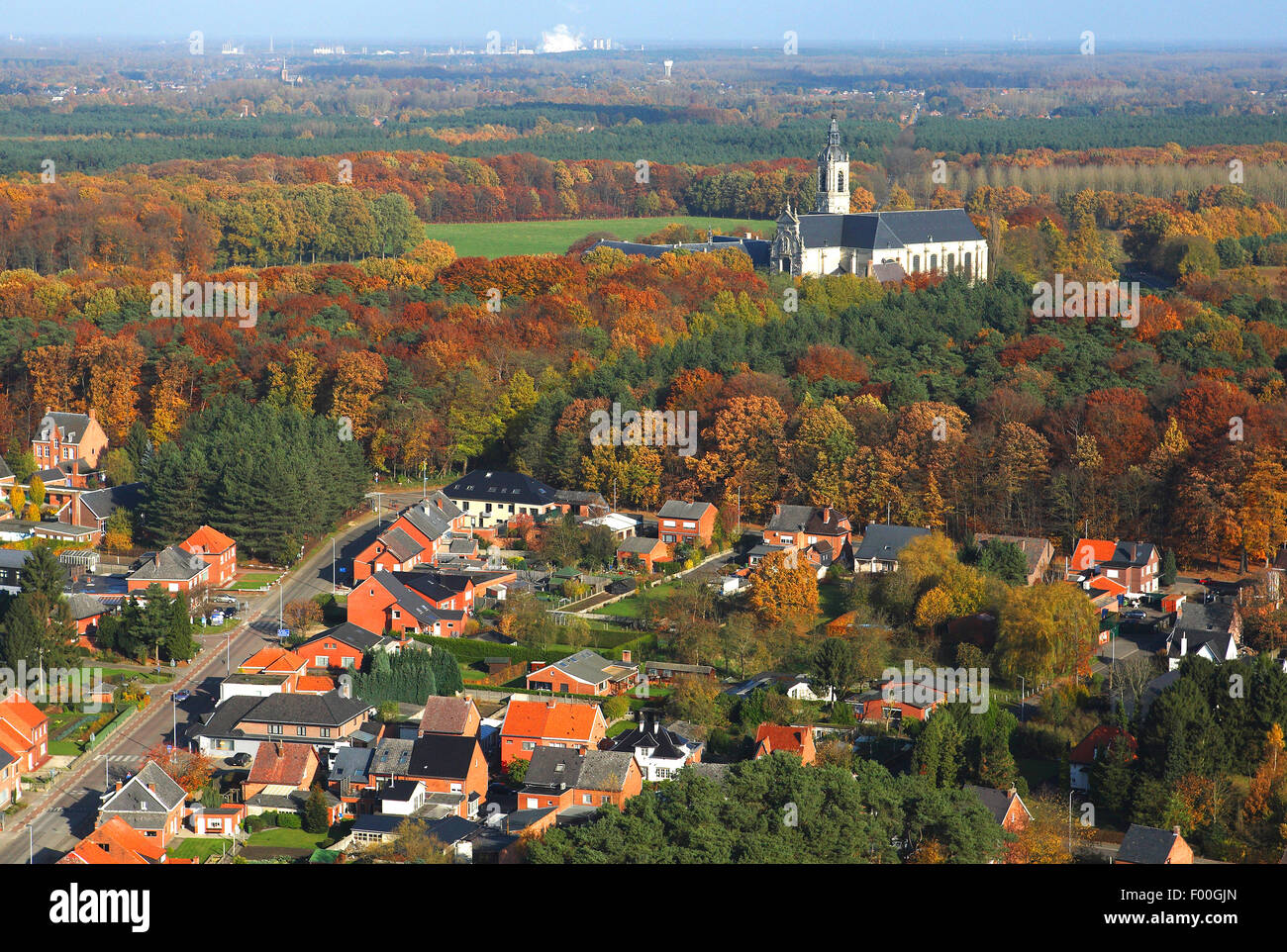Abbey of Averbode, forest from the air in autumn, Belgium, Averbode ...
