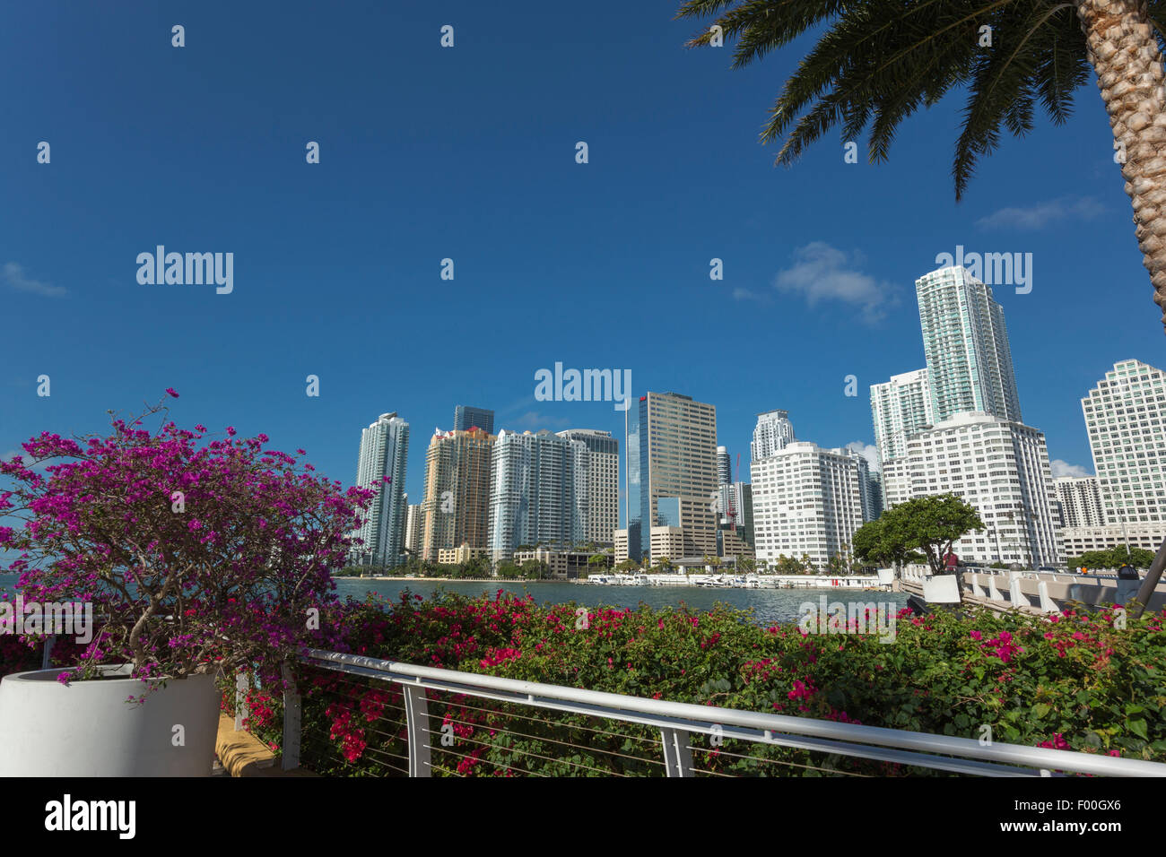 BRICKELL SKYLINE DOWNTOWN MIAMI FLORIDA USA Stock Photo - Alamy