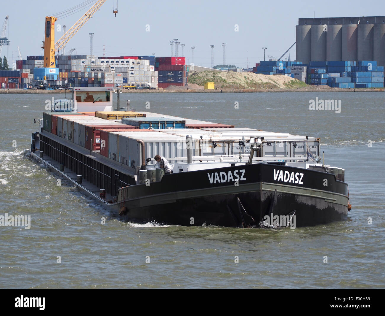 Vadasz hi-res stock photography and images - Alamy