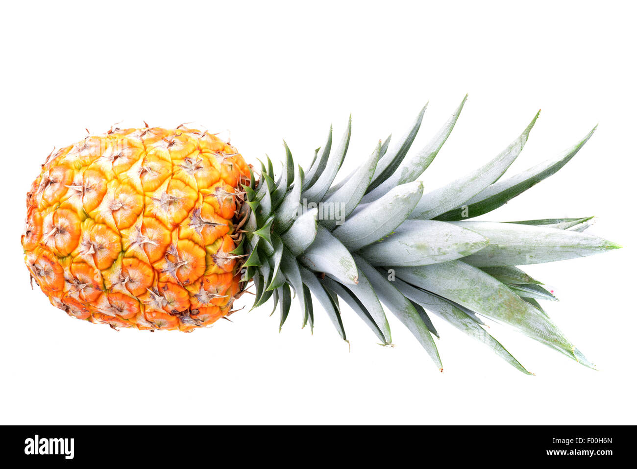 Ripe pineapple isolated on a white background Stock Photo - Alamy