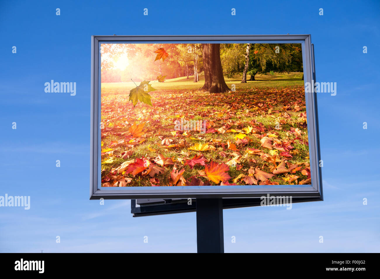 Billboard and tree hi-res stock photography and images - Alamy