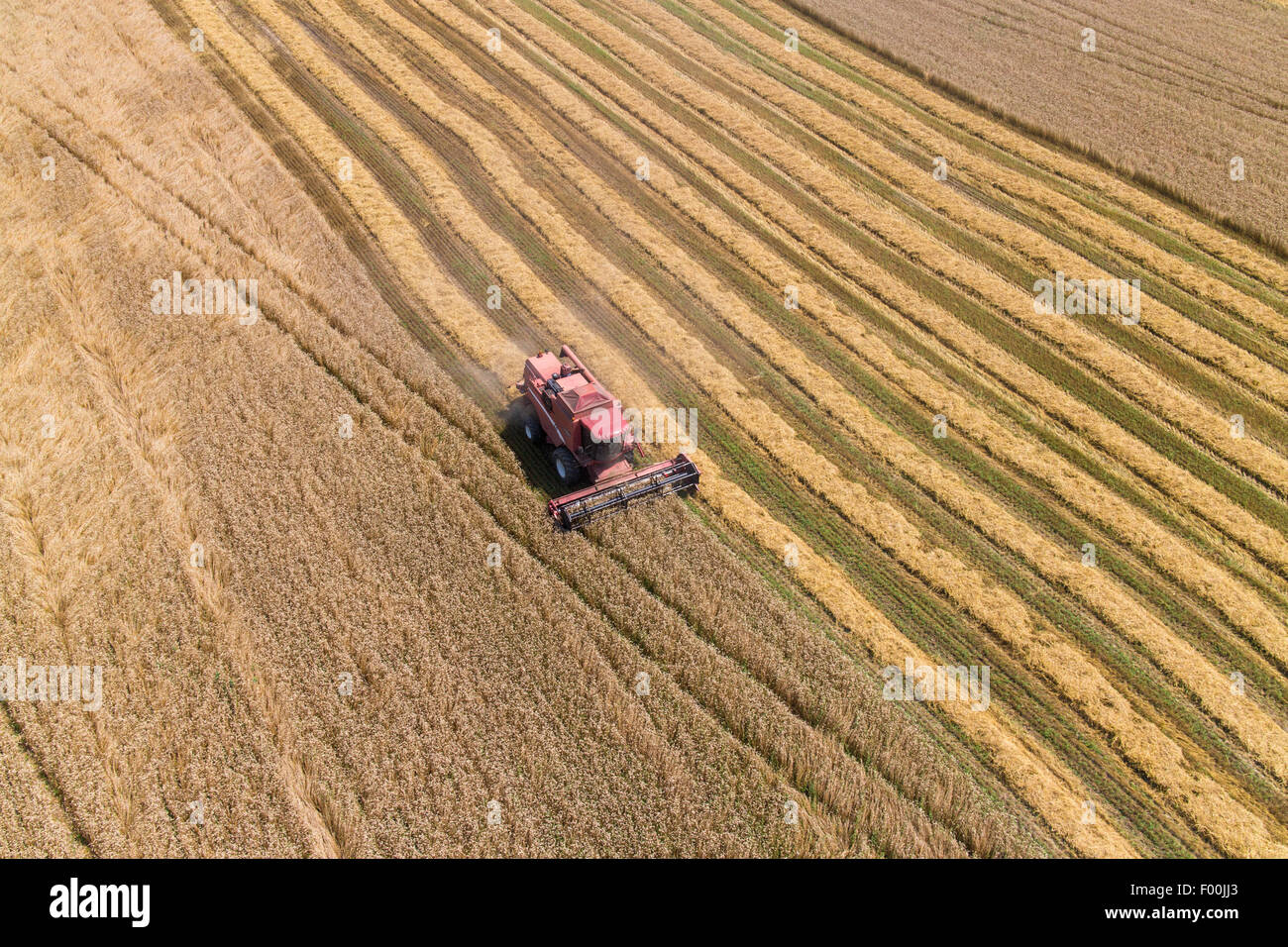 Corn field aerial hi-res stock photography and images - Alamy