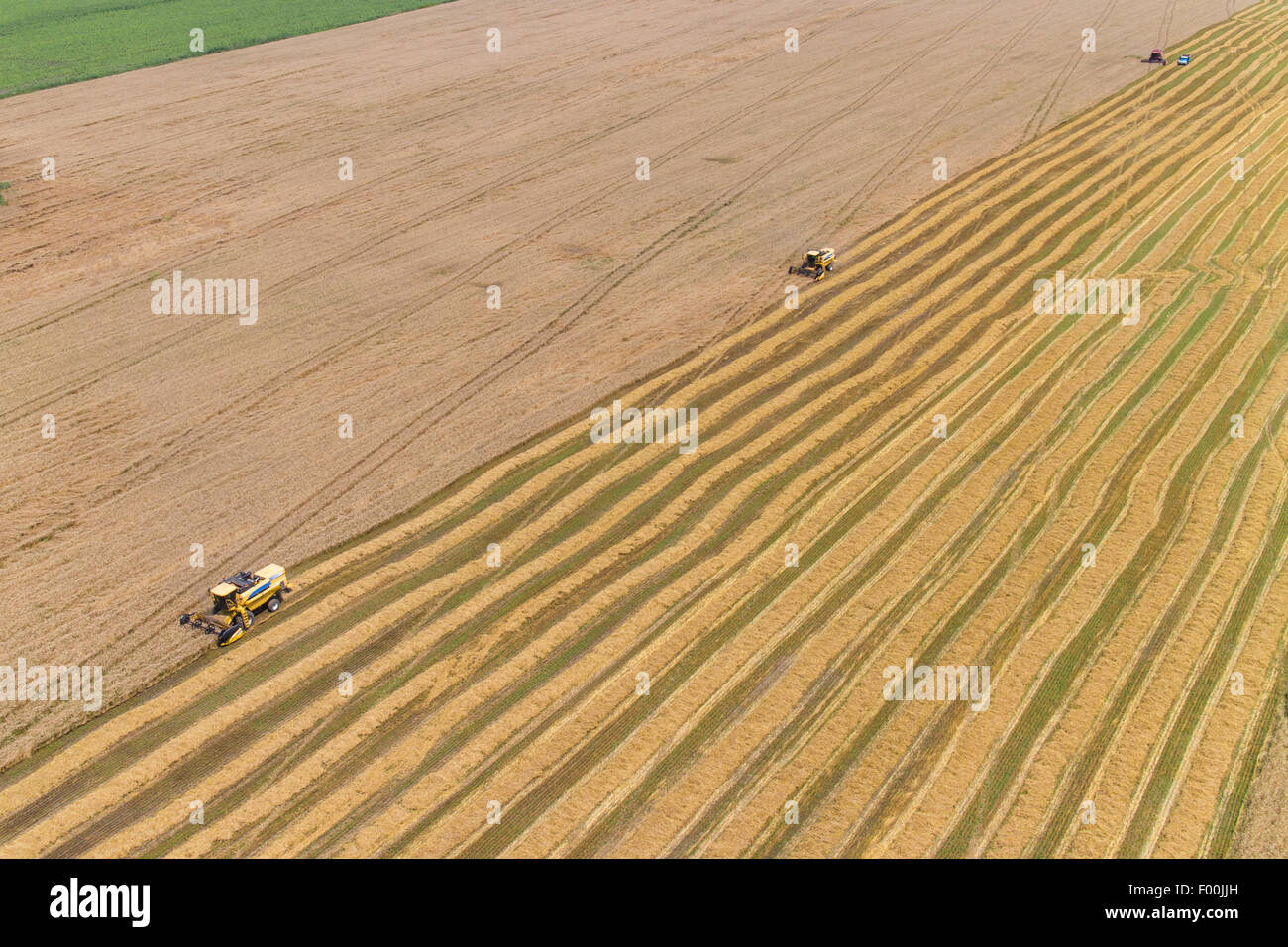 Combine harvesting corn in fall hi-res stock photography and images - Alamy