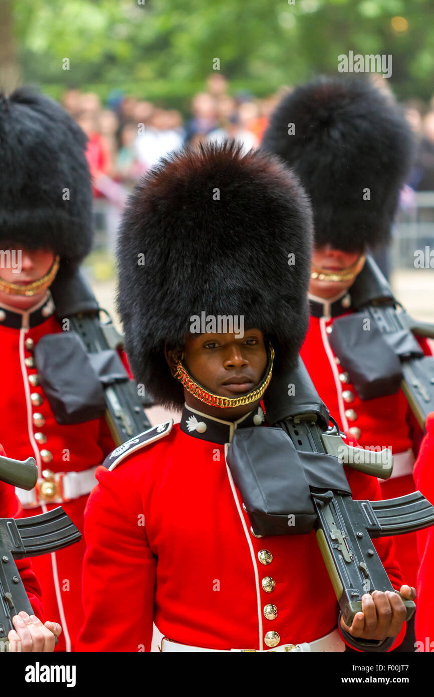 Busby soldier hi-res stock photography and images - Alamy