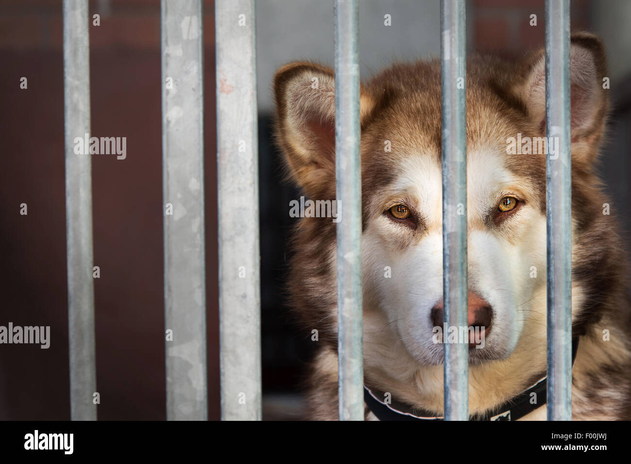 Beautiful Bars High Resolution Stock Photography and Images - Alamy