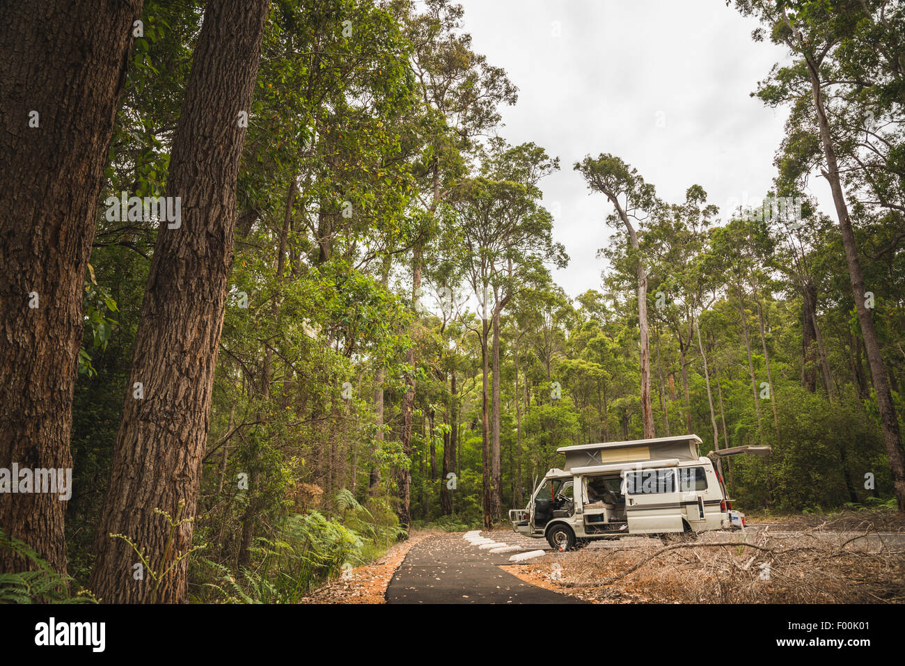 Campervan parked among tall trees of forest Stock Photo - Alamy