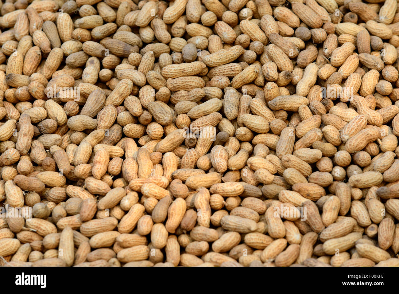 Peanut harvesting hi-res stock photography and images - Alamy