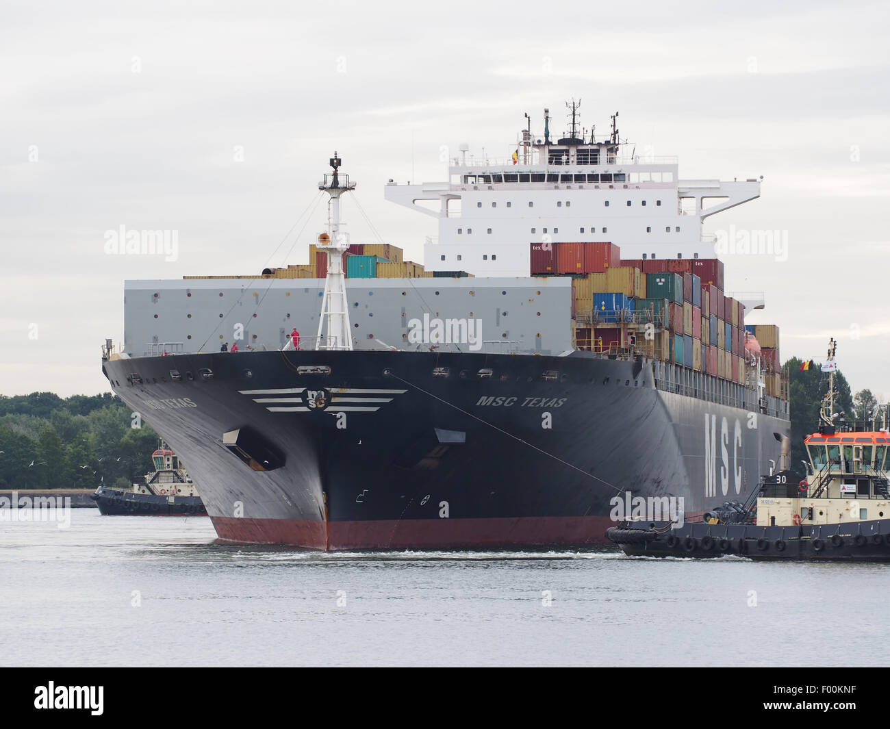 The MSC Texas (IMO 9286243), with callsign DCSY2, is shown at sunrise ...