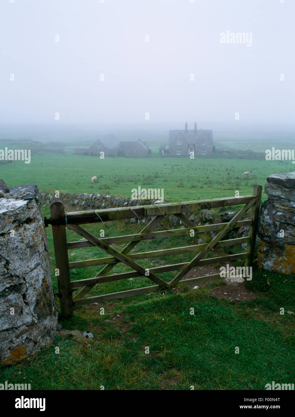 Carreg Fawr farmhouse, stockyard & outbuildings: one of the 'model ...