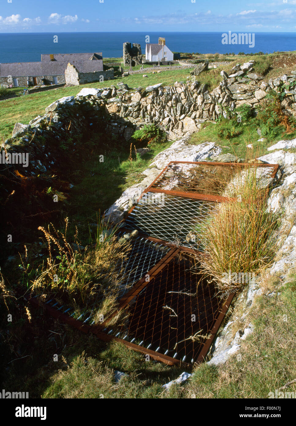 Well pool in field corner on W slope of Mynydd Enlli to rear (NE of ...