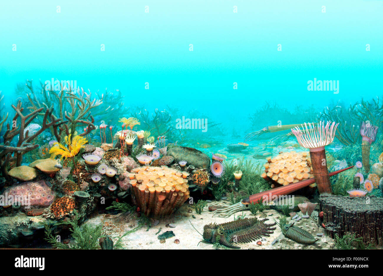 Paleozoic Era High Resolution Stock Photography and Images - Alamy
