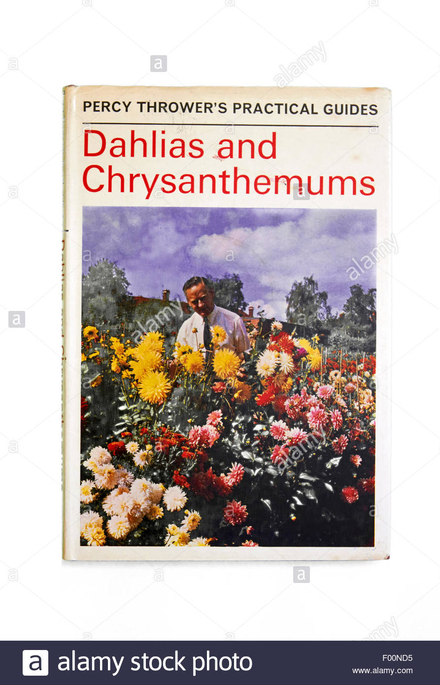 Percy Throwers High Resolution Stock Photography and Images - Alamy