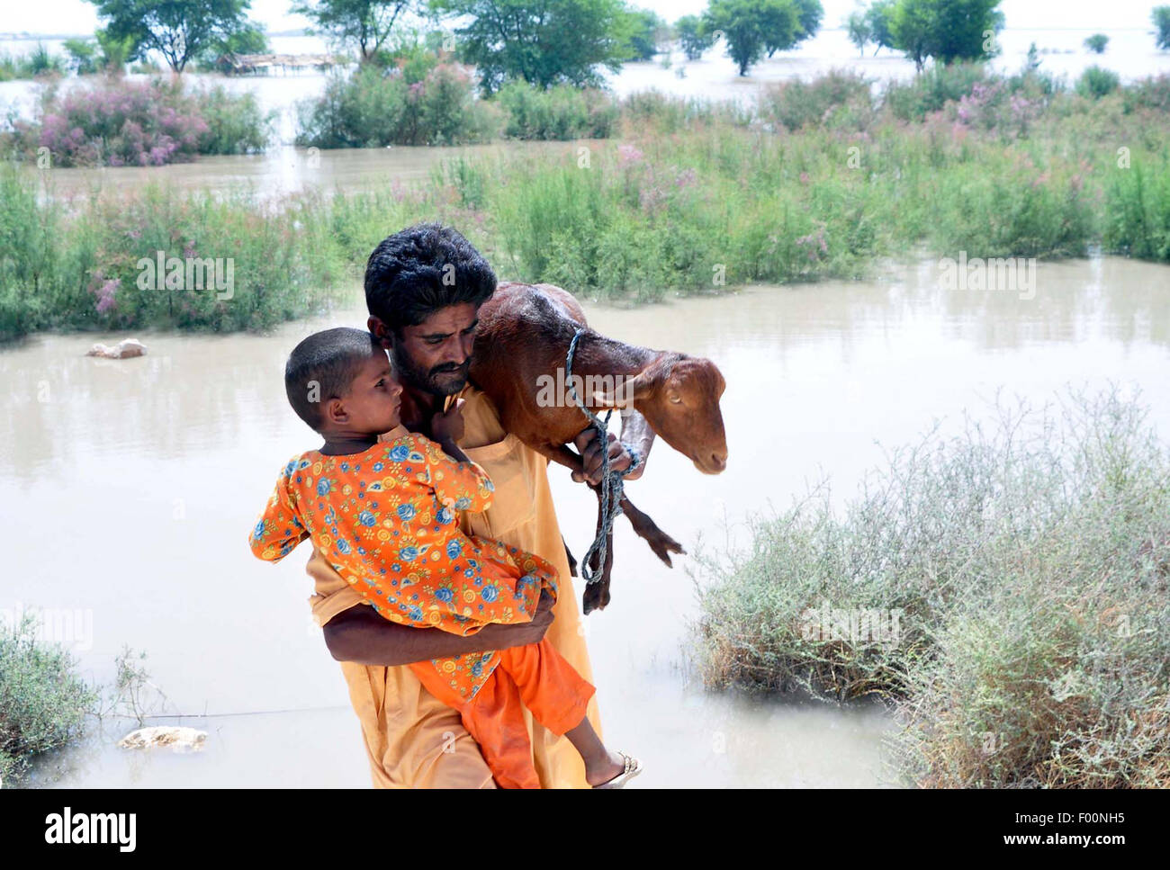 Man carrying goat on shoulder and girl in arm passing through the water ...