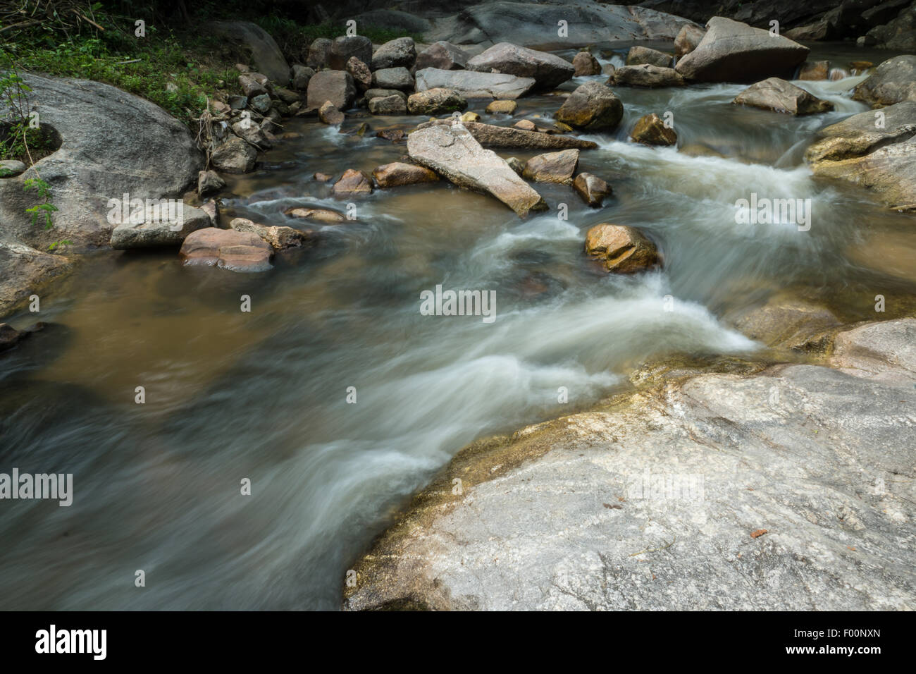 Stream environment hi-res stock photography and images - Alamy