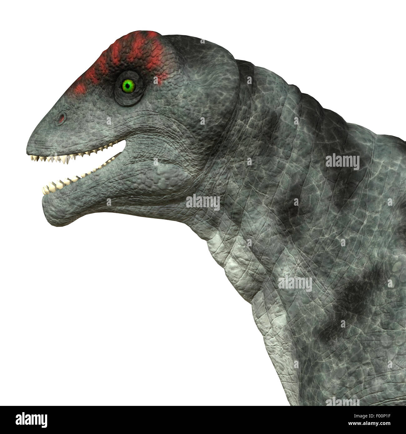 Moschops primeval herbivorous dinosaur lived hi-res stock photography ...