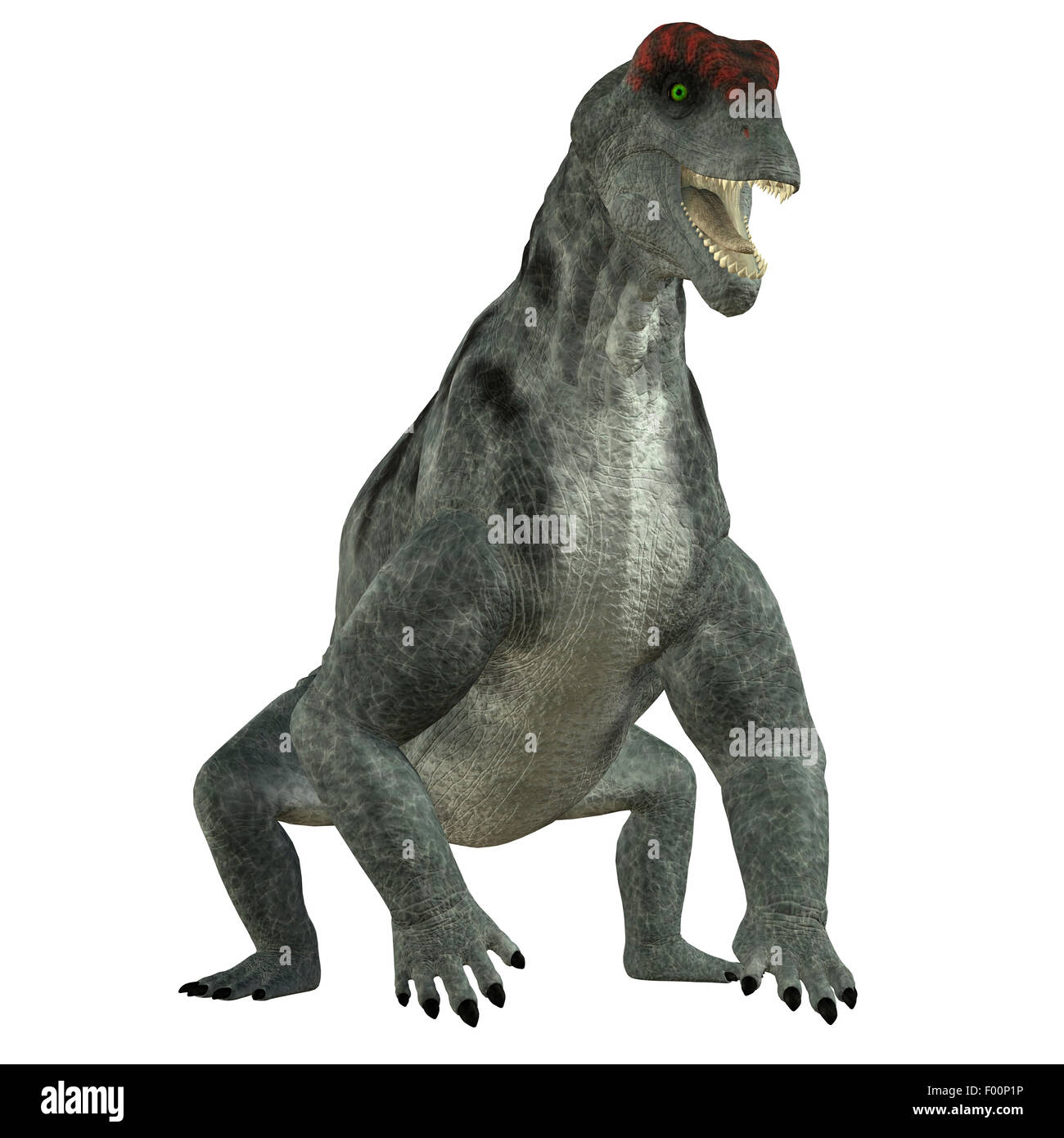 Moschops capensis Cut Out Stock Images & Pictures - Alamy