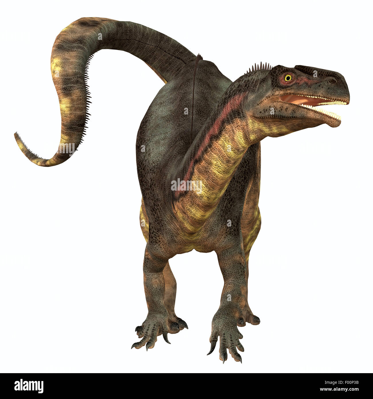 Plateosaurus hi-res stock photography and images - Alamy
