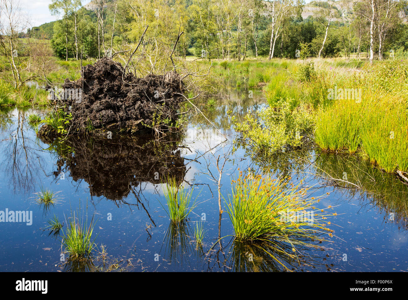 Restored peat bog uk hi-res stock photography and images - Alamy