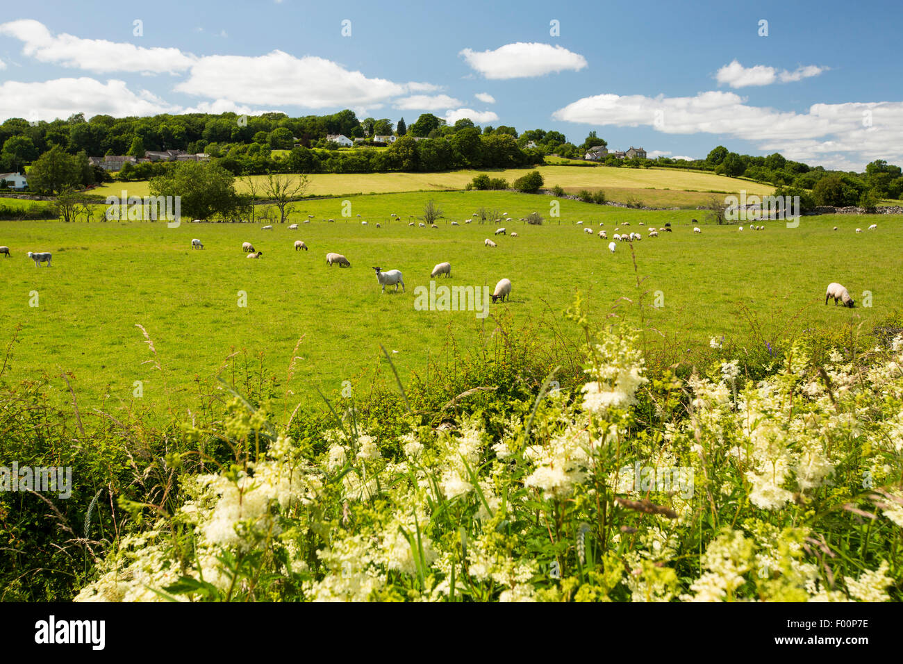 The Lyth Valley in South Cumbria, UK Stock Photo - Alamy