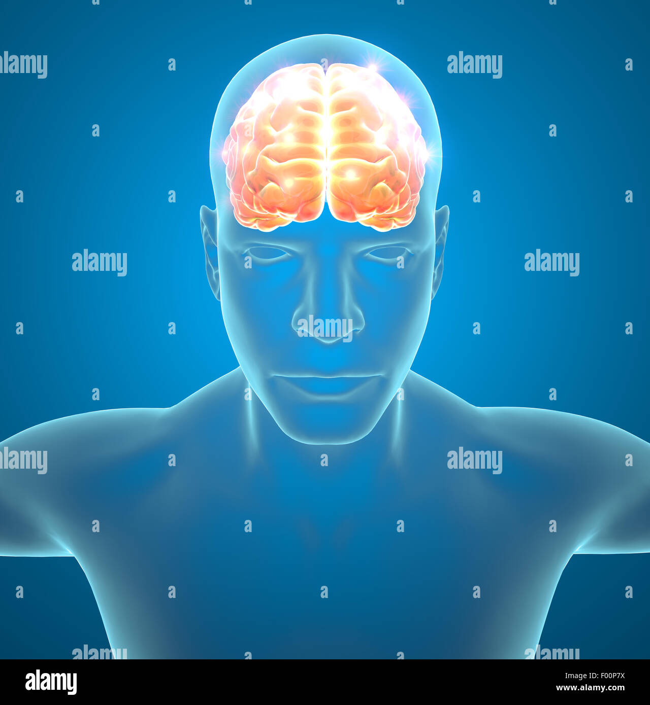 Brain functions hi-res stock photography and images - Alamy