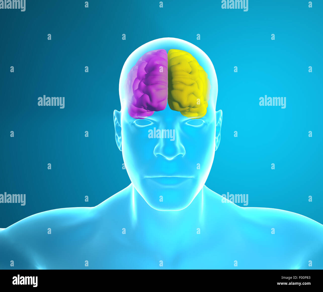3d Brain how it works Stock Photo - Alamy