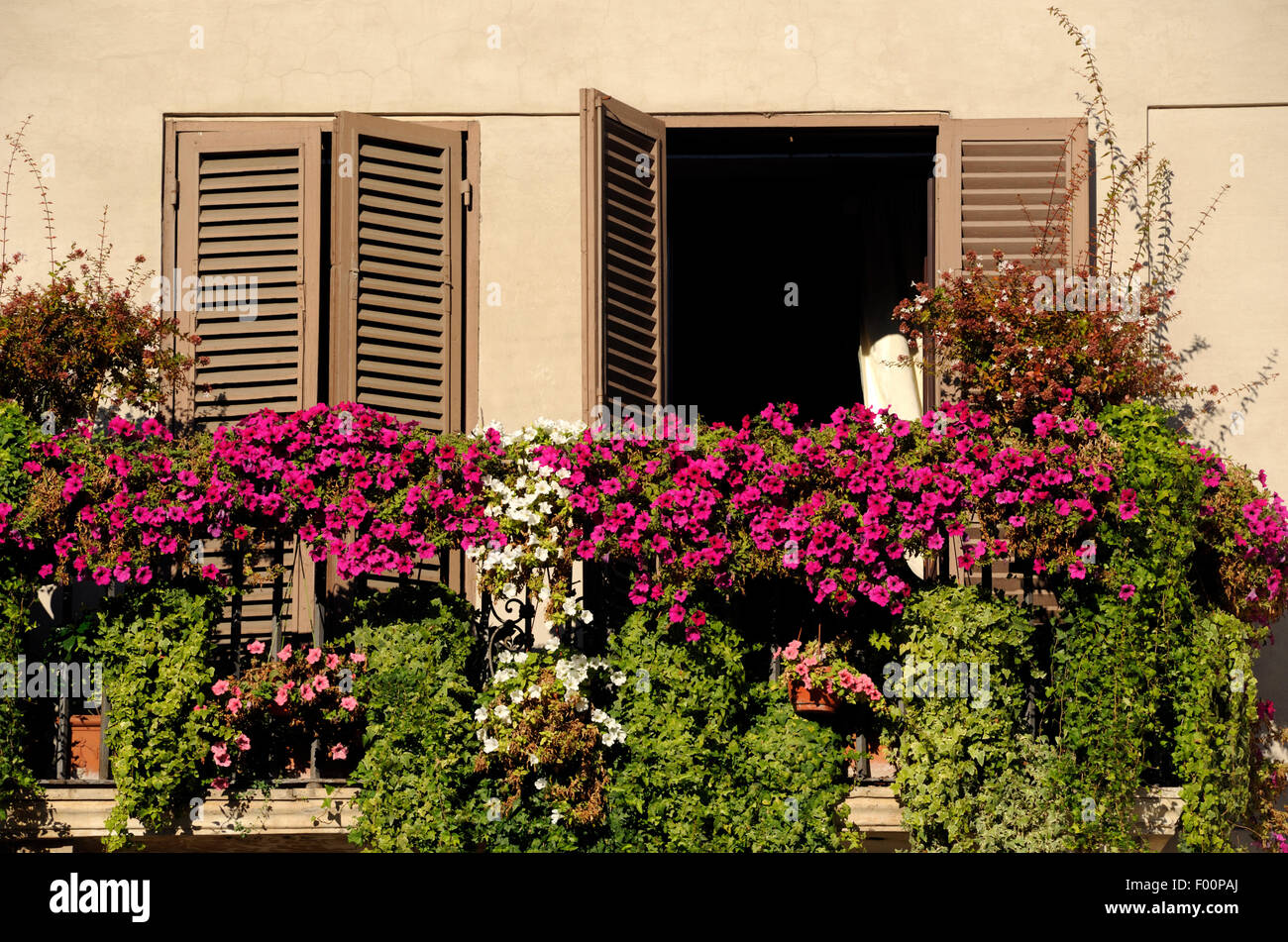 Italy rome balcony flowers hi-res stock photography and images - Alamy