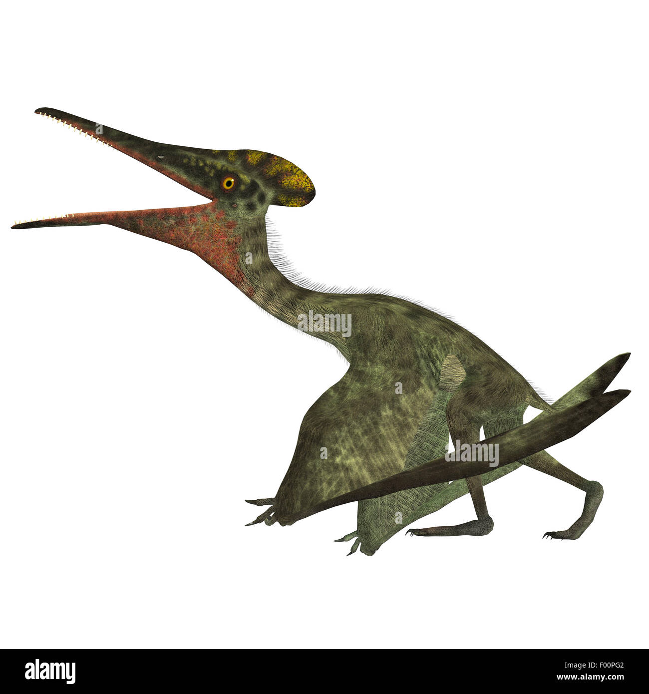 Pterodactyl wing hi-res stock photography and images - Alamy