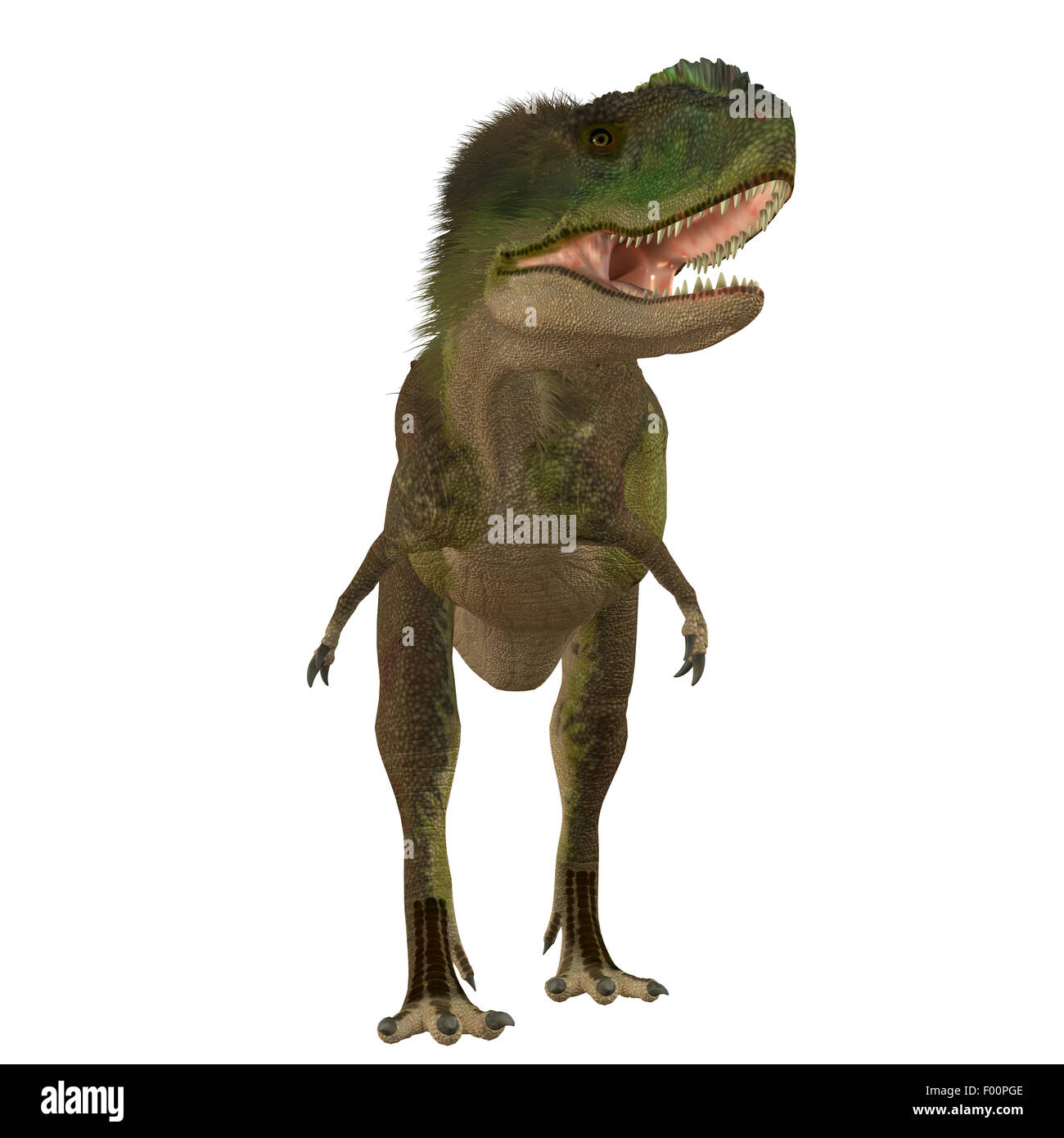 Rugops was a carnivorous theropod dinosaur that lived during the ...