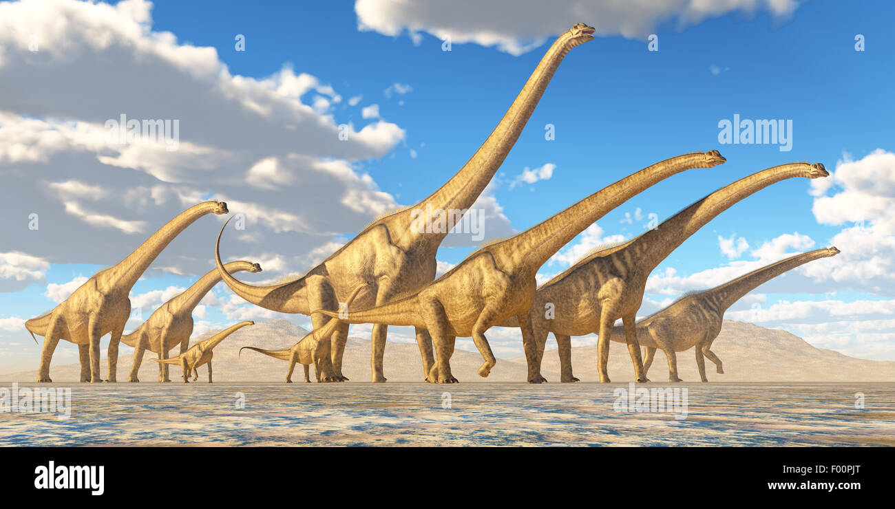 Sauroposeidon High Resolution Stock Photography and Images - Alamy