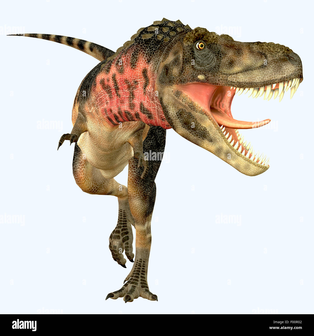 Tarbosaurus High Resolution Stock Photography and Images - Alamy