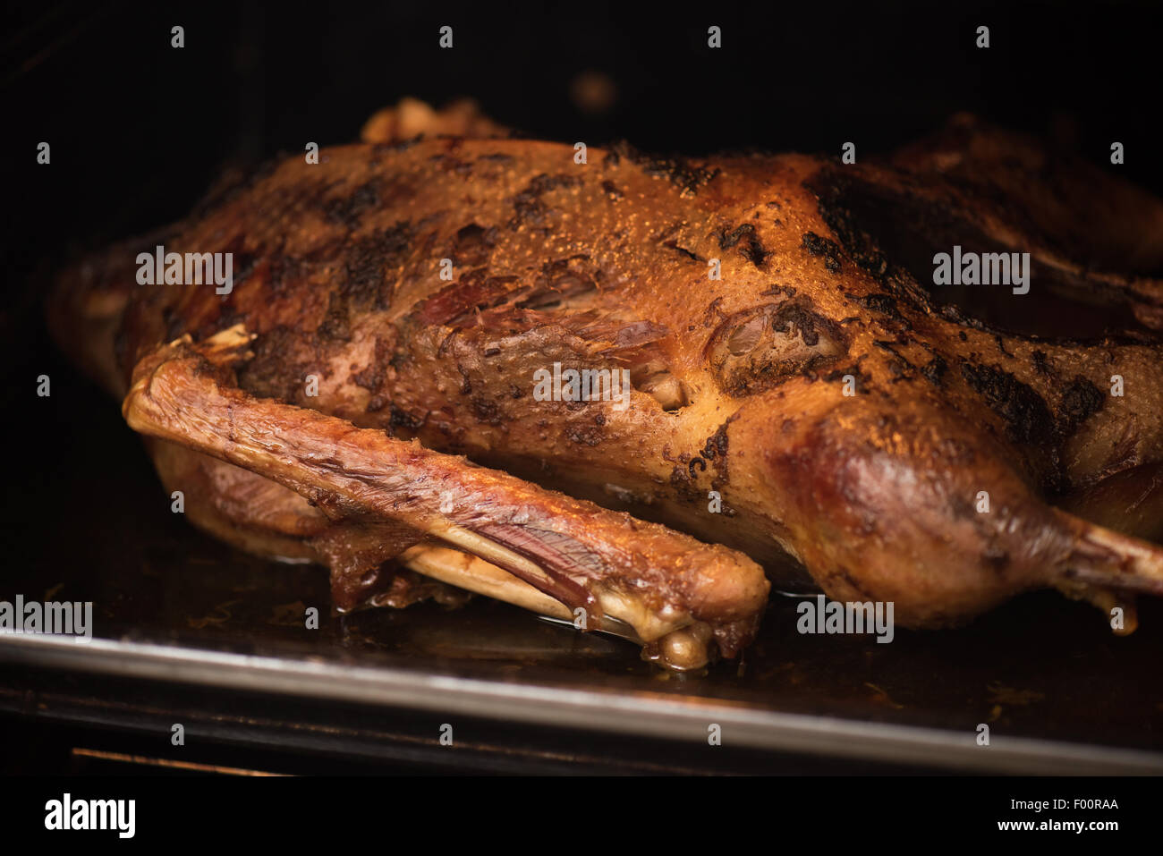 Tray raw goose meat hi-res stock photography and images - Alamy