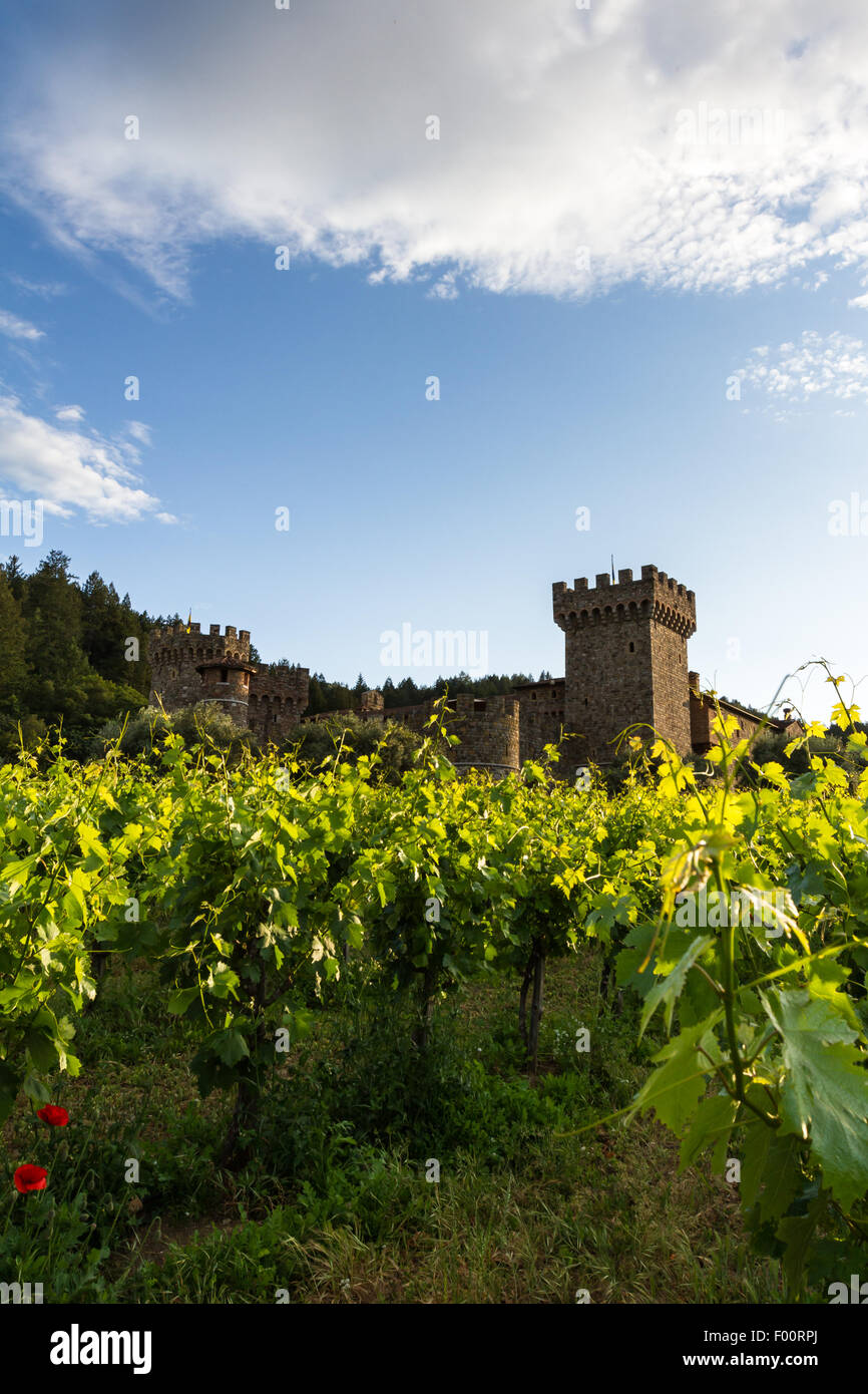 vineyard and winery in California, photo taken in spring 2015 with lush ...