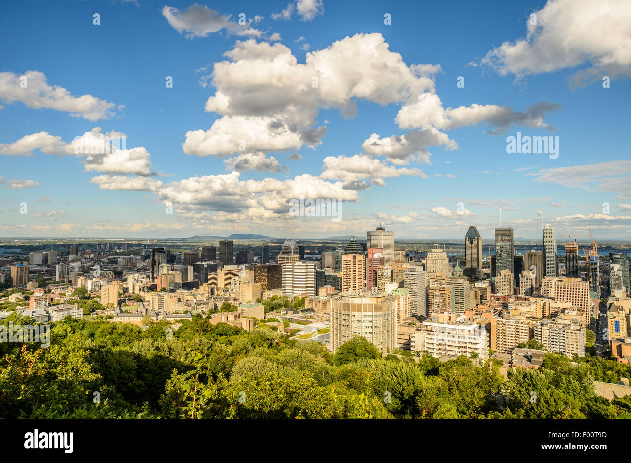 Montreal skyline from mount royal hi-res stock photography and images ...