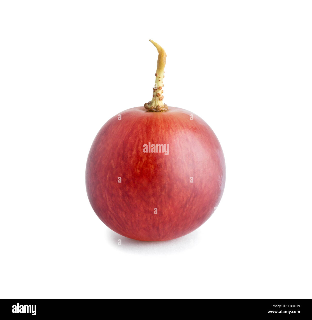 Red grape on white background Stock Photo - Alamy