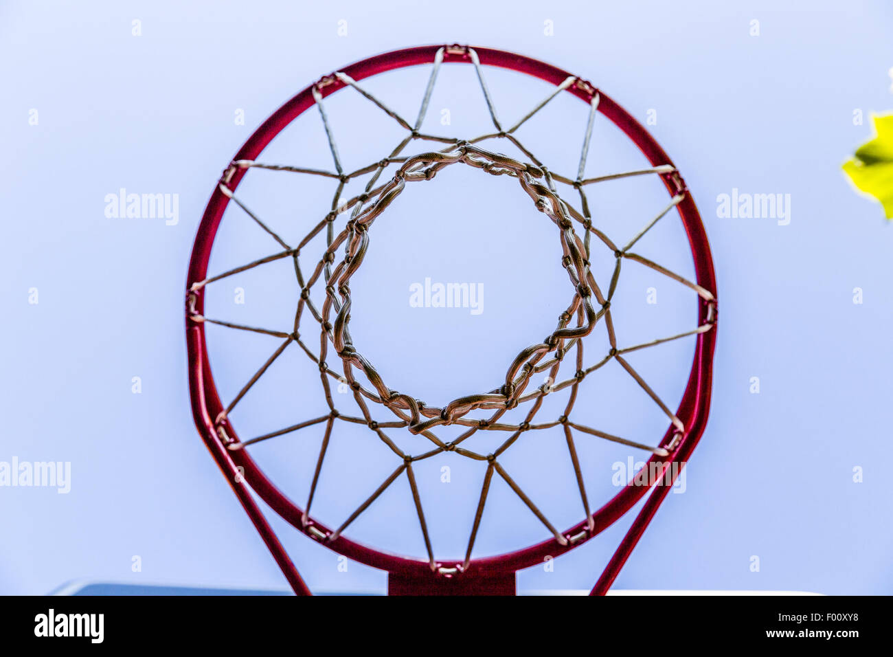 basketball basket with grunge white net seen from below Stock Photo - Alamy