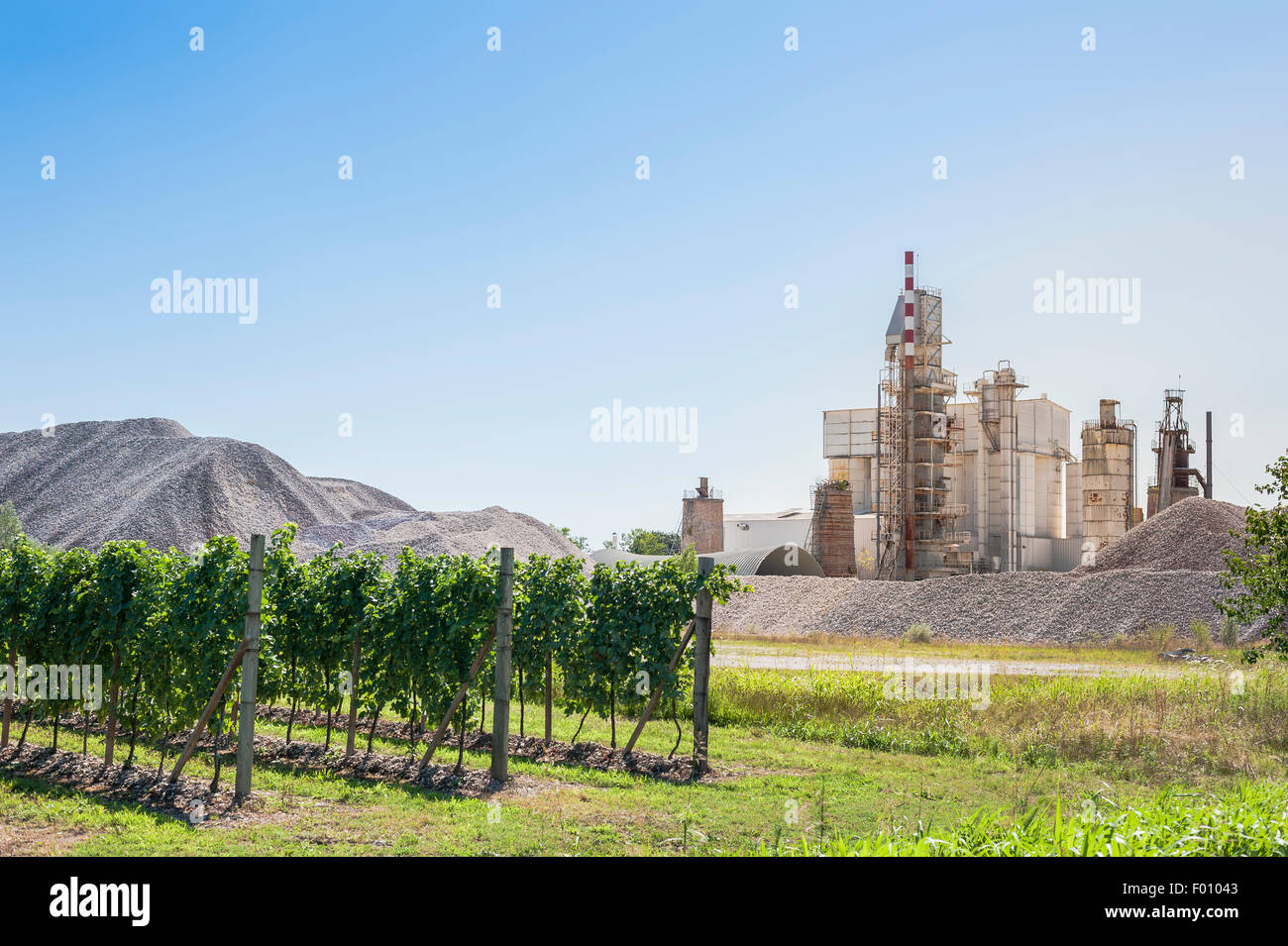 Landscape with cement plant, with vineyards in the foreground Stock ...