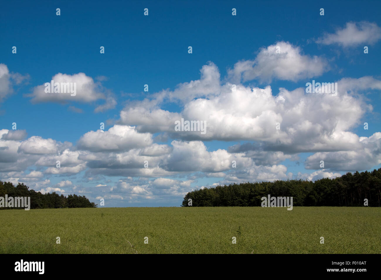 Earth Meets Sky High Resolution Stock Photography and Images - Alamy