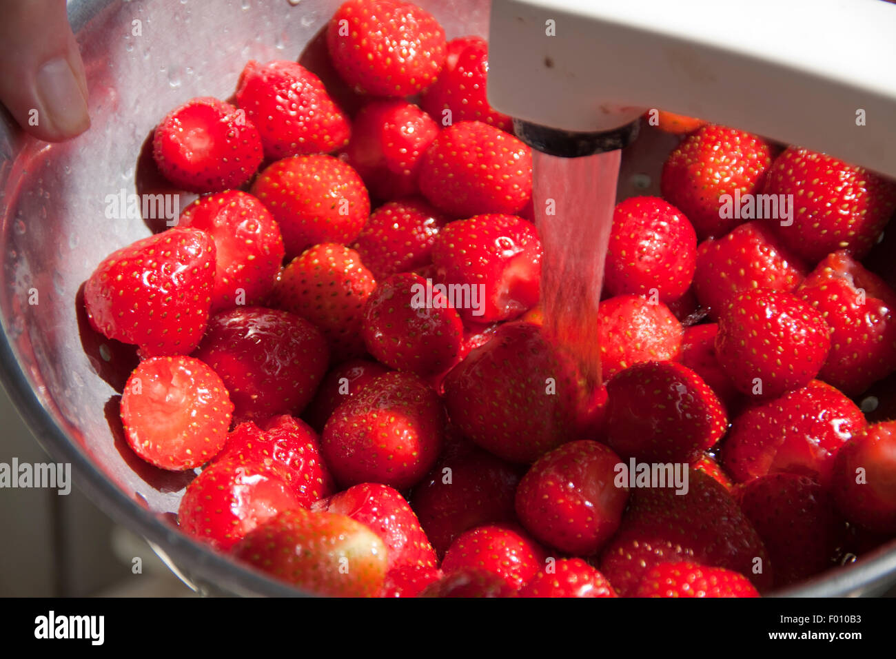 Strawberries being washed Stock Photo - Alamy