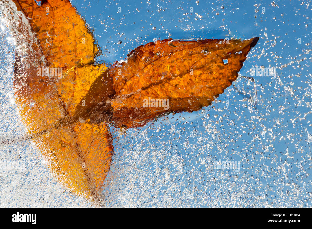 Close up sheet ice frozen hi-res stock photography and images - Alamy