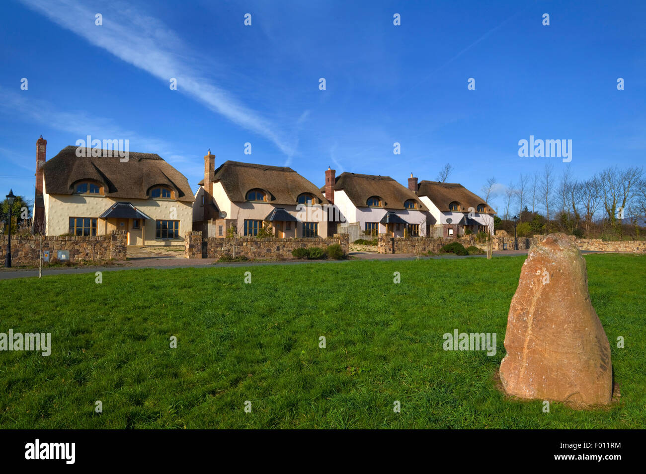 Upmarket Ghost Estate of Thatched Cottages, St James Wood, Stradbally ...