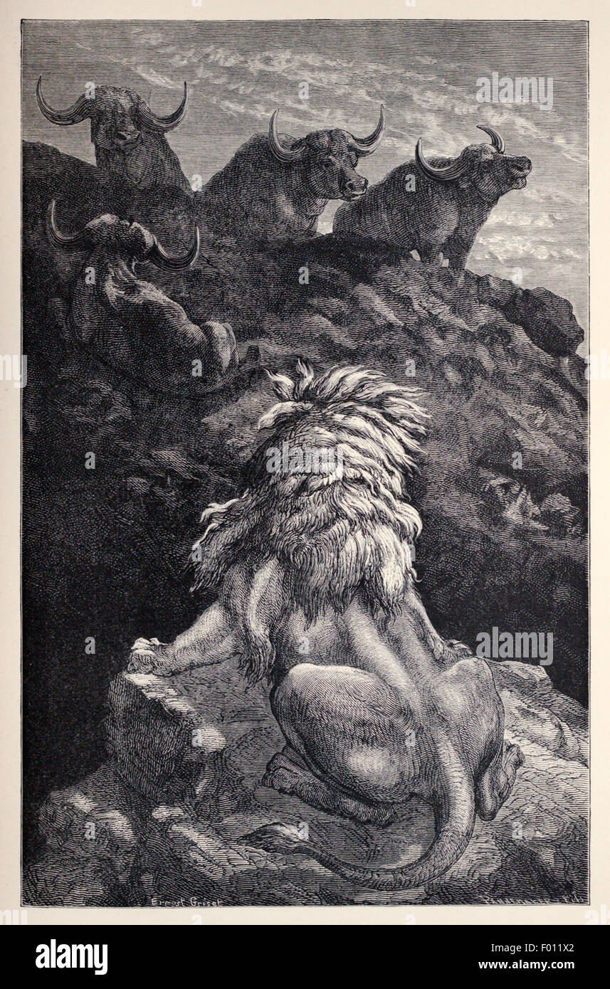 'The Lion and the Four Bulls' fable by Aesop (circa 600BC). A Lion ...