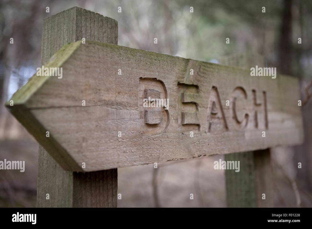 Wooden sign pointing the way towards the beach Stock Photo - Alamy