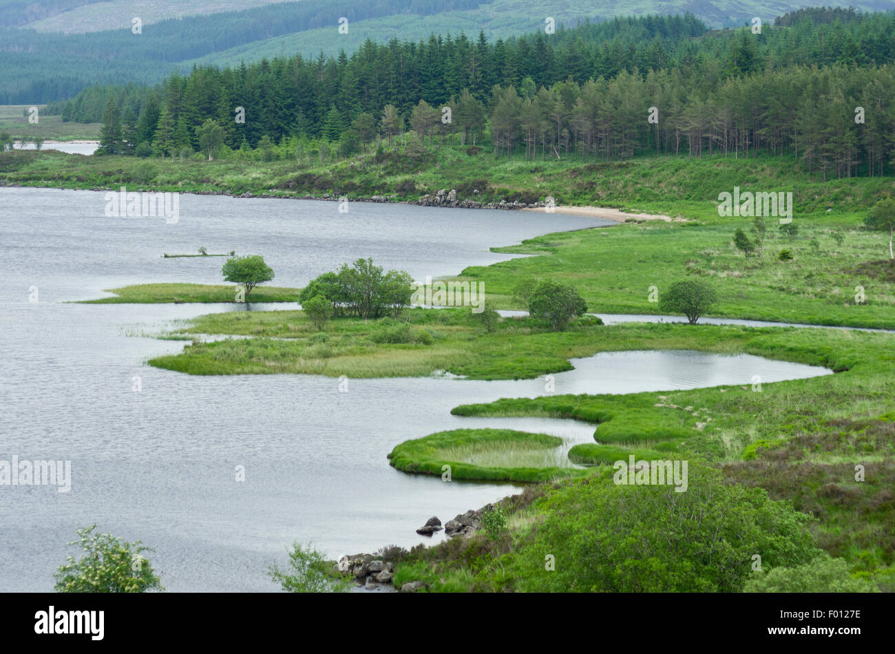 Loch dee dumfries hi-res stock photography and images - Alamy
