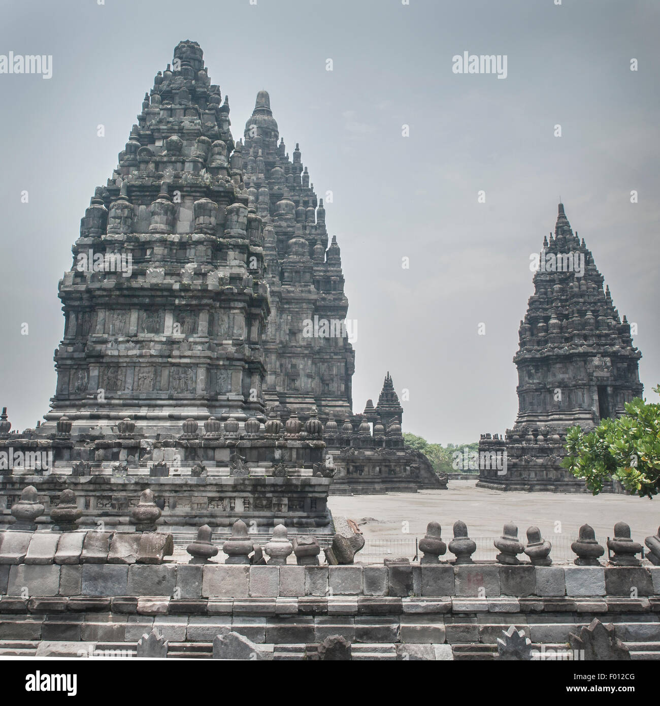 The ruins of the 9th century Hindu temple, Prambanan, tower above the surrounding landscape ...