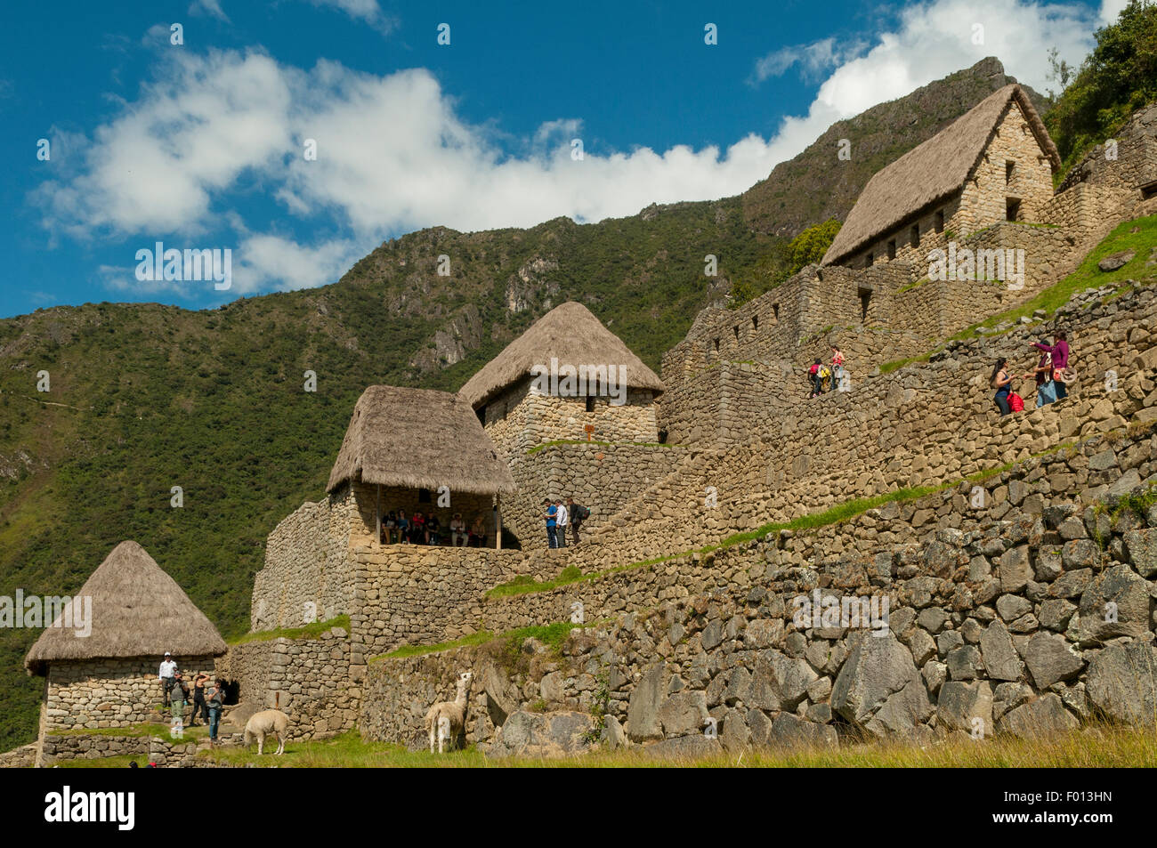 Terraces huts machu picchu ruins hi-res stock photography and images ...