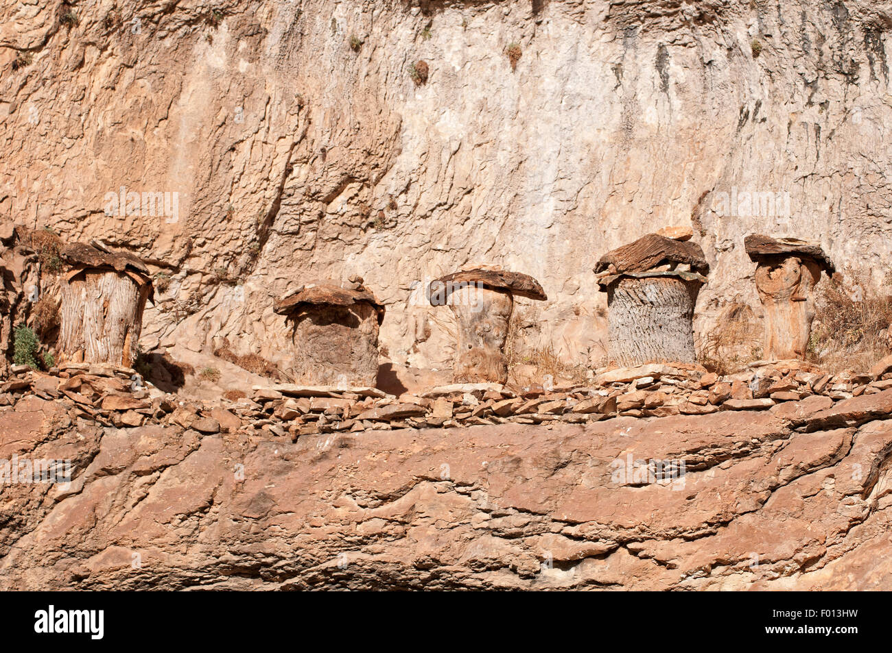 Traditional beehives hi-res stock photography and images - Alamy