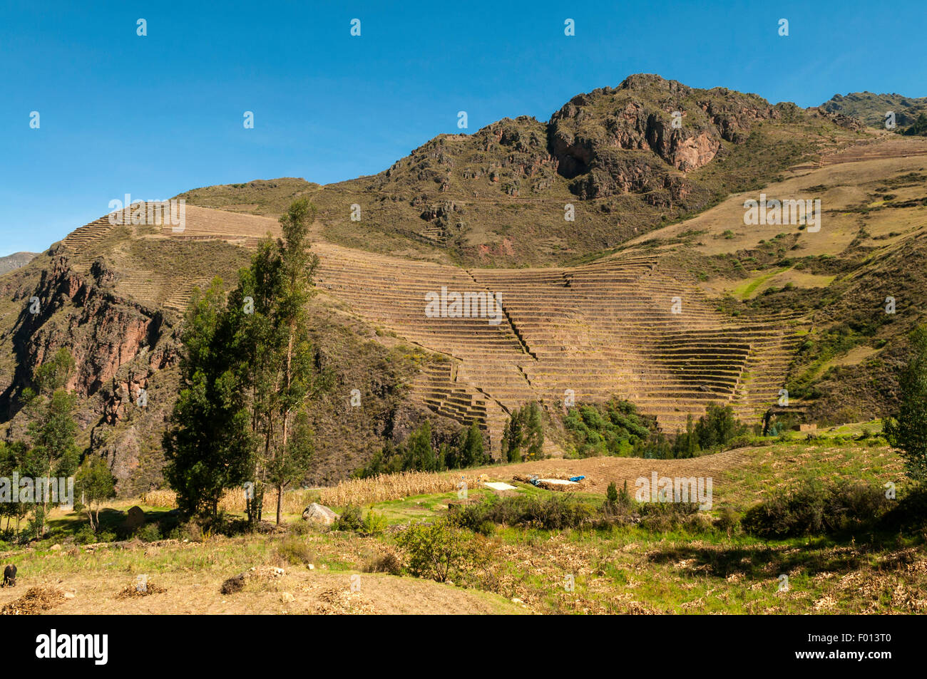 Inca Terracing above Pisac, Sacred Valley, Peru Stock Photo - Alamy