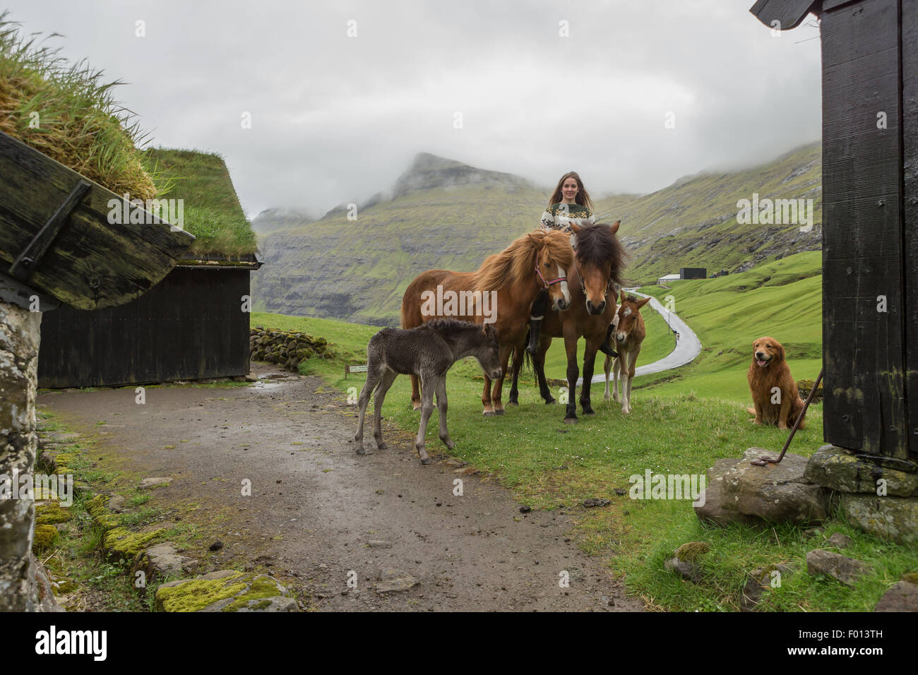 Faroese Stock Photos & Faroese Stock Images - Alamy