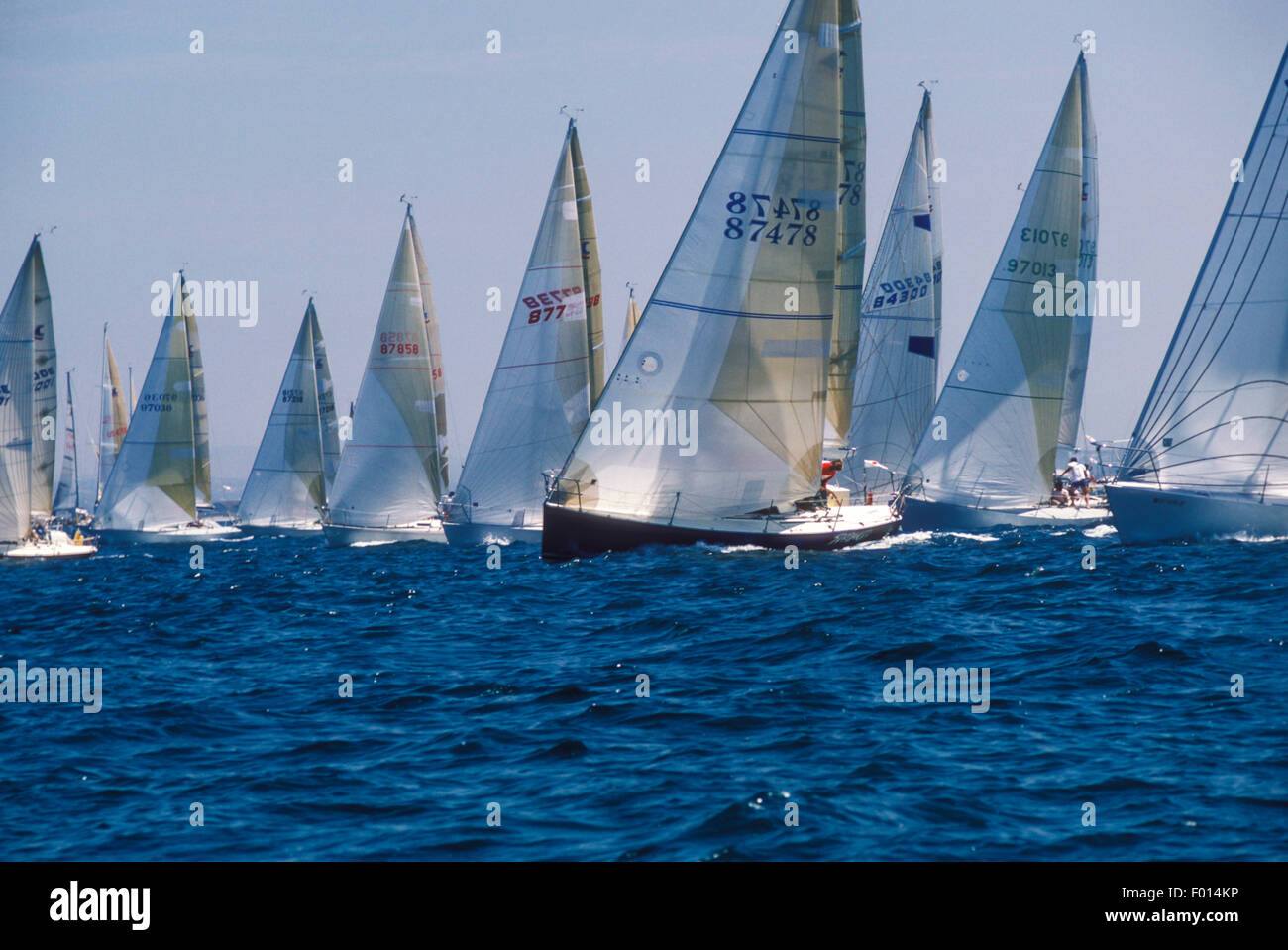 Morc hi-res stock photography and images - Alamy