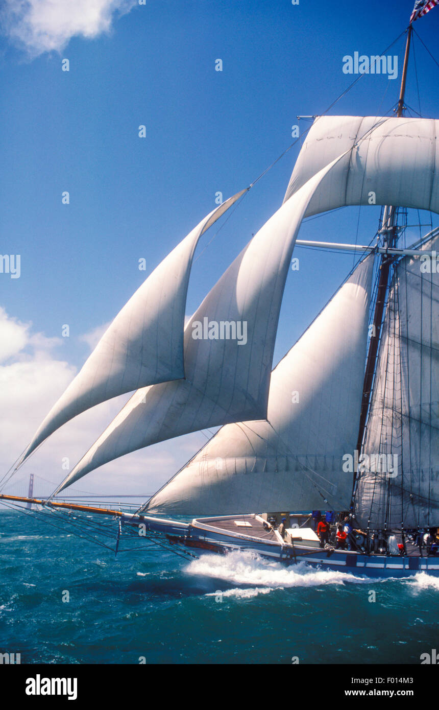 square rigger "Californian" in Master Mariners Regatta, San Francisco ...